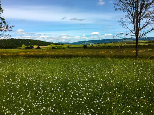 Best Hikes and Trails in Baskett Slough National Wildlife Refuge ...
