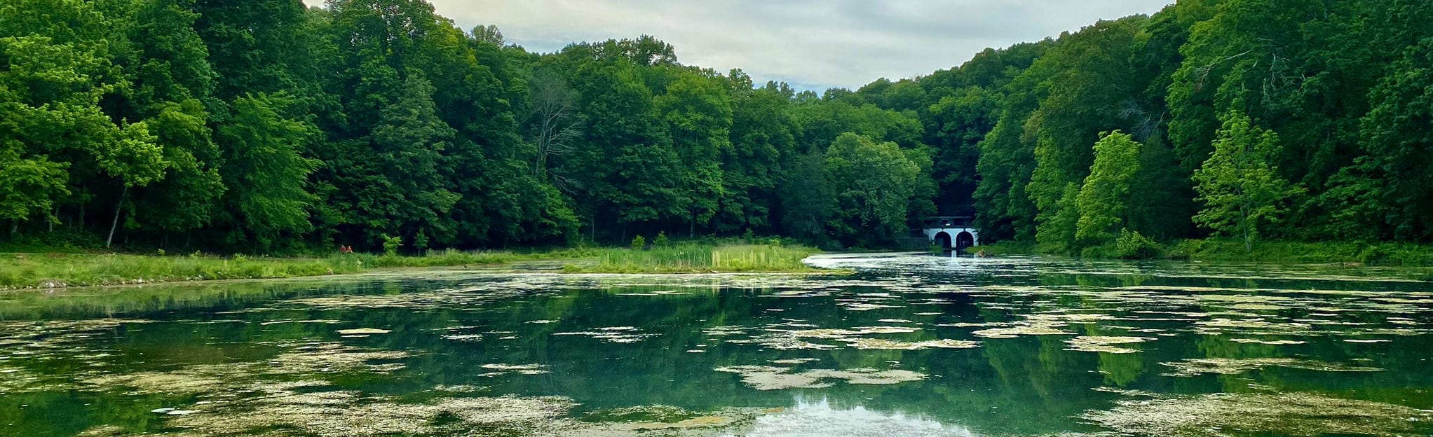 Dunbar Cave Lake Trail: 26 Reviews, Map - Tennessee | AllTrails