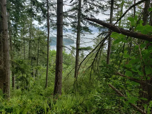 10 Best Hikes And Trails In Larrabee State Park Alltrails