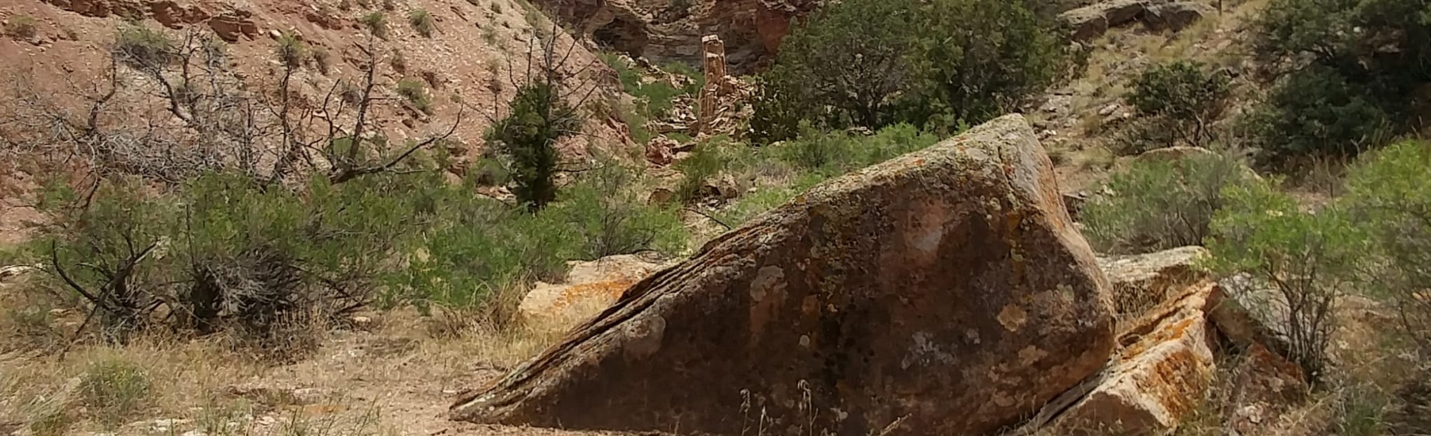 Crocodile Rock Canyon Trail, Colorado - 3 Reviews, Map | AllTrails