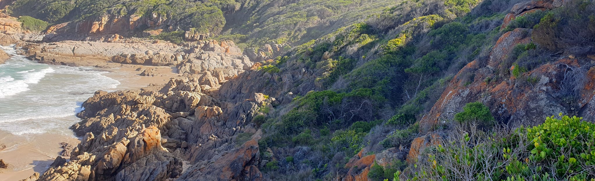 Pecaltsdorp Beach Trail: 4 foto's - West-Kaap, Zuid-Afrika | AllTrails