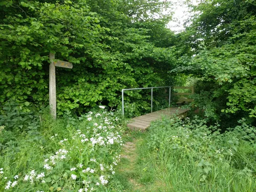 2023 Best 10 Trails, Walks, and Paths in Saffron Walden | AllTrails