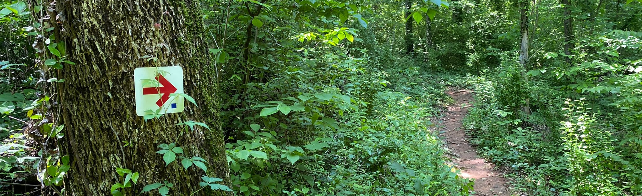 Marion Diehl Park loop, North Carolina - 132 Reviews, Map | AllTrails