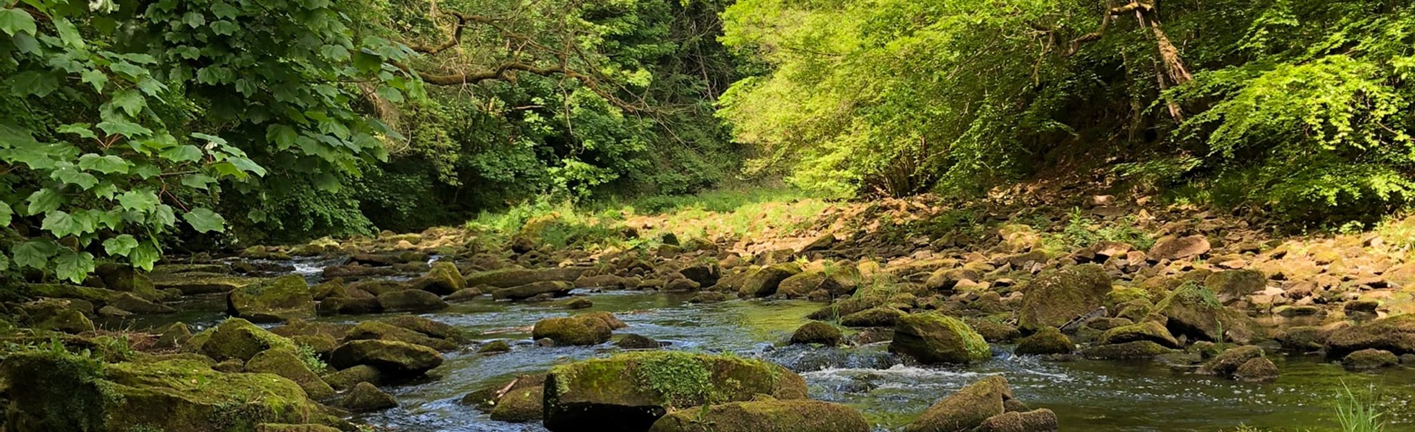 River Wansbeck: 77 Reviews, Map - Northumberland, England | AllTrails