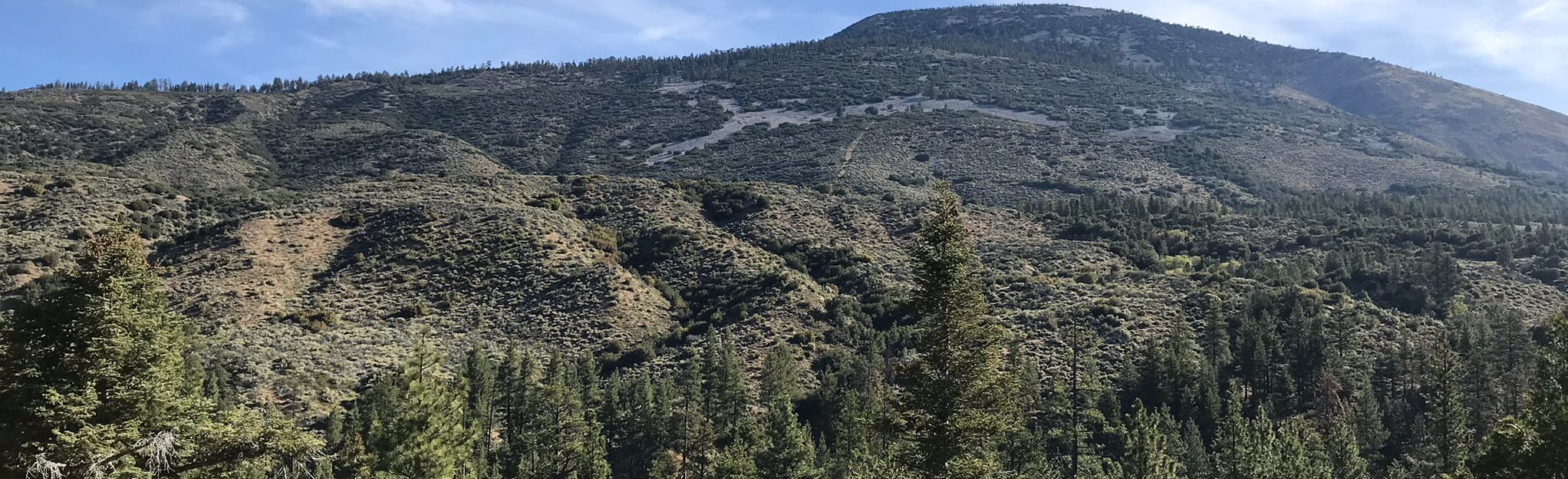 Santa Ana River Trail Shuttle Ride: 15 Reviews, Map - California ...