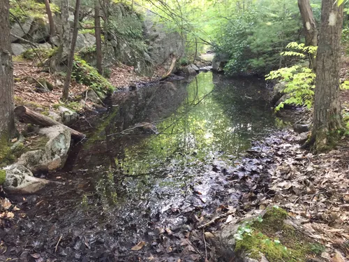 10 Best Trails and Hikes in Manchester | AllTrails