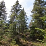 Cove Point Loop to Superior Hiking Trail Loop, Minnesota - 126 Reviews ...