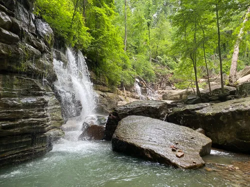 10 Best Waterfall Trails in Signal Mountain | AllTrails