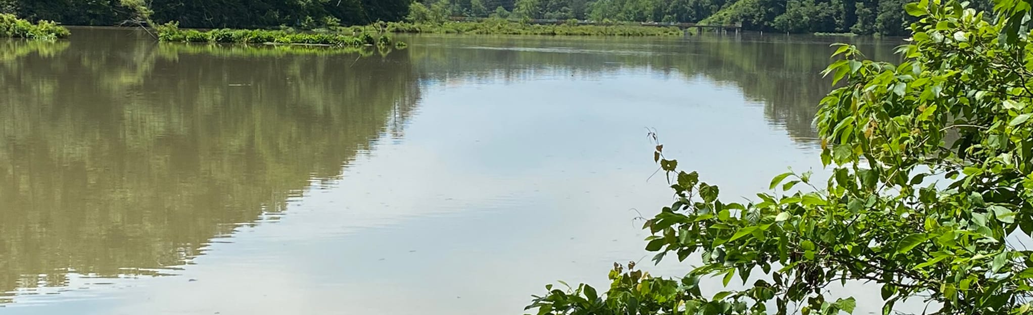 Gold Branch Trail: 2,280 Reviews, Map - Georgia | AllTrails