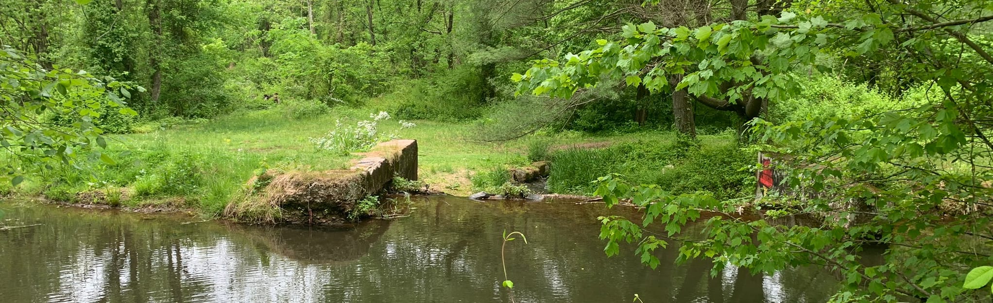 Birdsboro Quarry Climbing Approach, Pennsylvania - 117 Reviews, Map ...