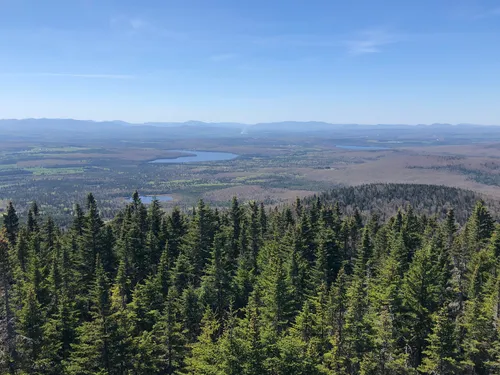 2023 Best Forest Trails in Lac-Drolet | AllTrails