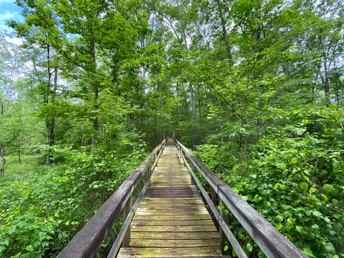 Best Hikes and Trails in Big Hill Pond State Park | AllTrails
