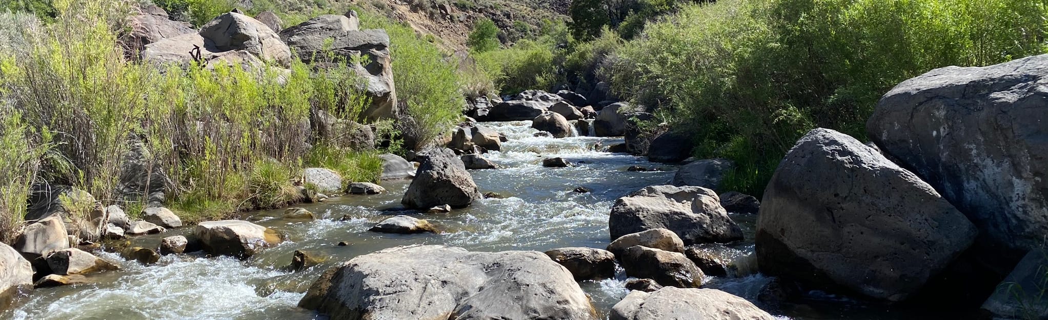 Klauer and The Slide Trail Loop: 395 foto's - New Mexico | AllTrails