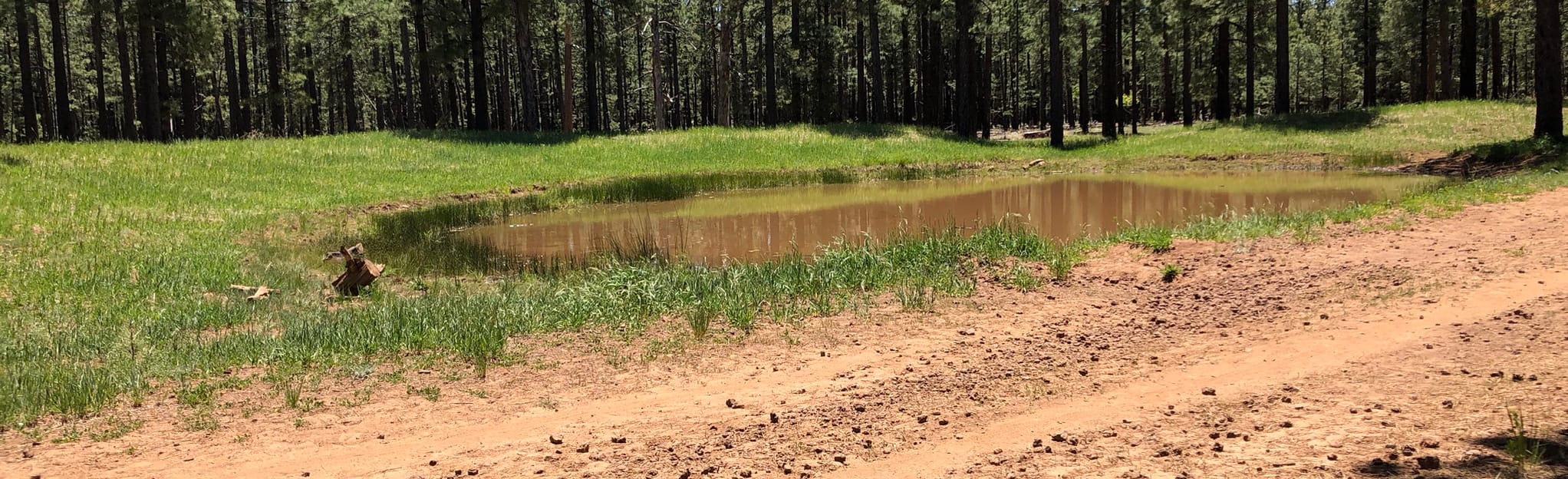 Mars - Tunnel Springs Loop: 84 Reviews, Map - Arizona | AllTrails