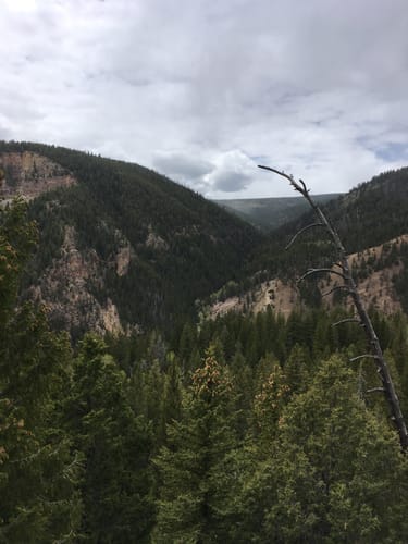 Best 10 Hikes and Trails in Ashley National Forest | AllTrails