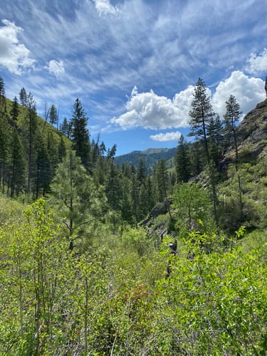 2023 Best 10 Backpacking Trails in Boise National Forest | AllTrails