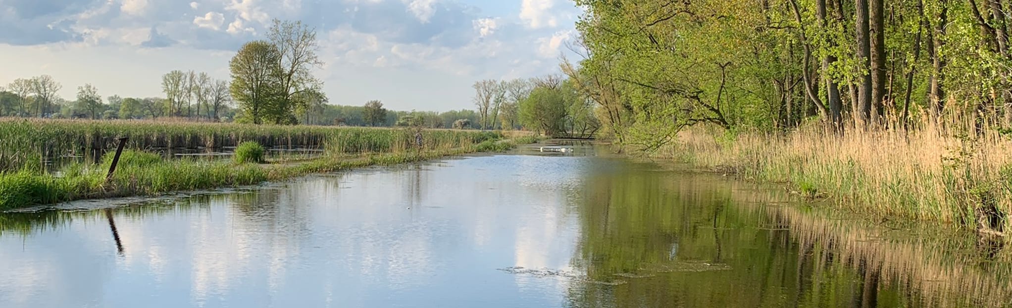 Marsh Forest and Meadow Loop: 184 Reviews, Map - Michigan | AllTrails