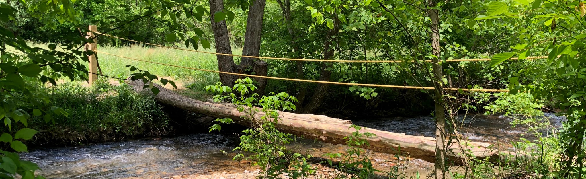 Turtle Ridge Trail: 92 Reviews, Map - Tennessee | AllTrails