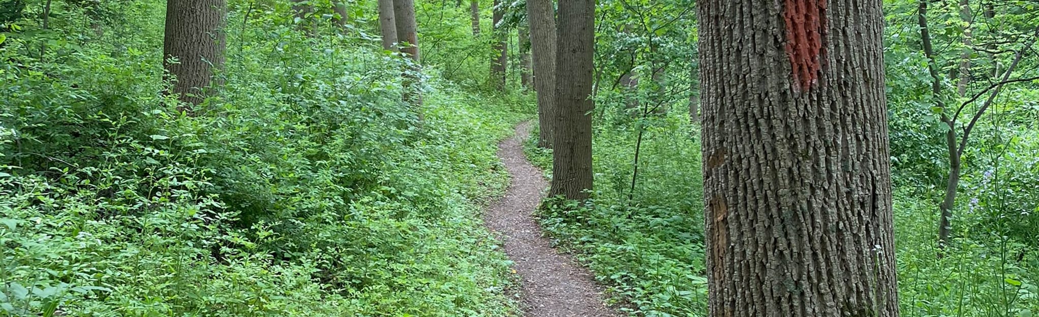 Conestoga Trail: Speedwell Forge Lake: 131 Reviews, Map - Pennsylvania ...