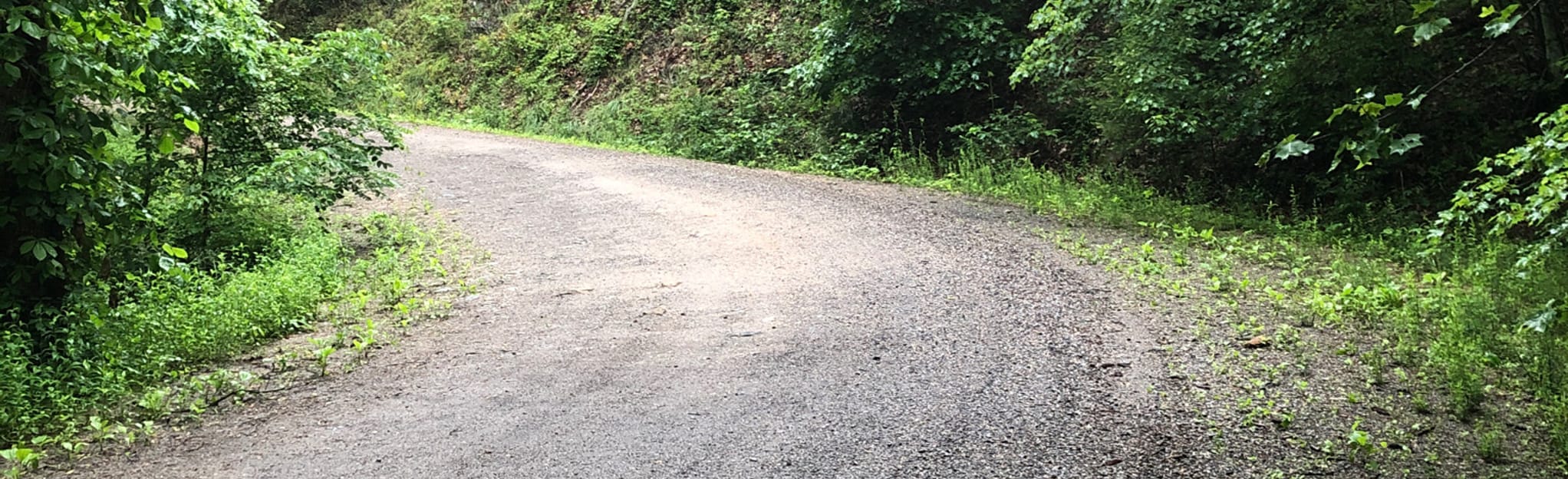 Indian Creek Loop, Tennessee - 15 Reviews, Map | AllTrails