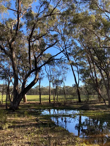 10 Best Off Road Driving Trails in Victoria | AllTrails