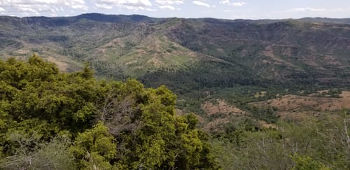 Best Hikes and Trails in Lake Red Bluff Recreation Area | AllTrails