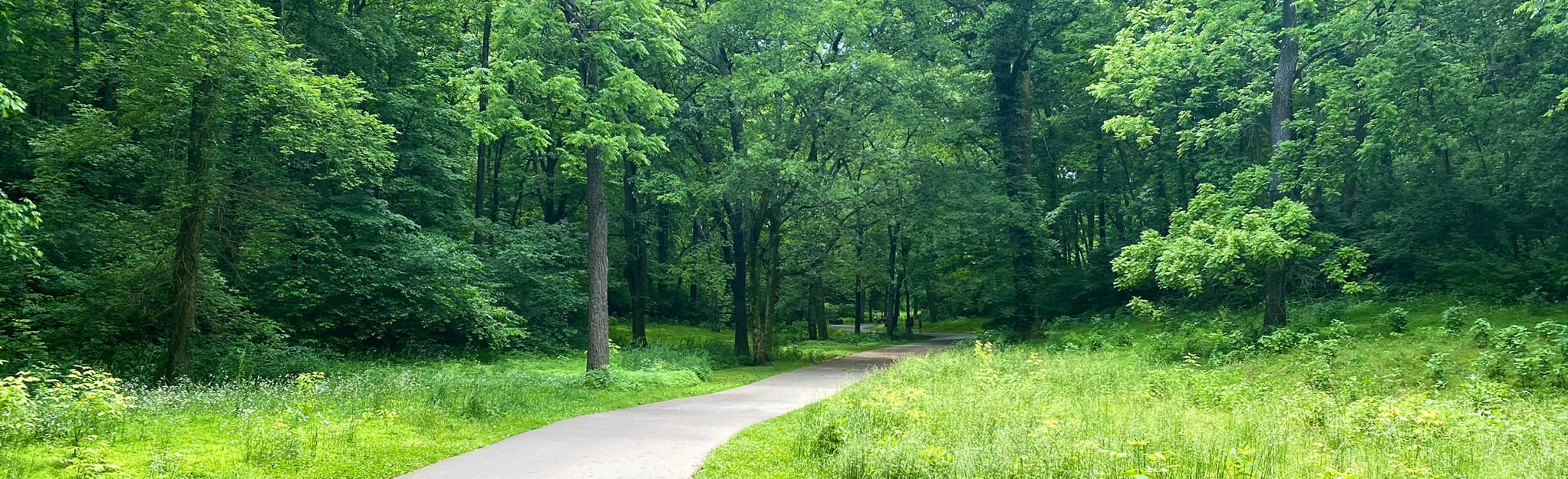 Percy Warner Paved Trail, Tennessee - 1,799 Reviews, Map | AllTrails