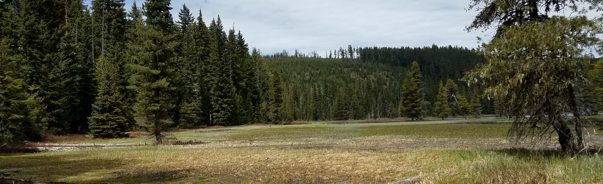 Dinger Lake, Oregon - 2 Reviews, Map | AllTrails