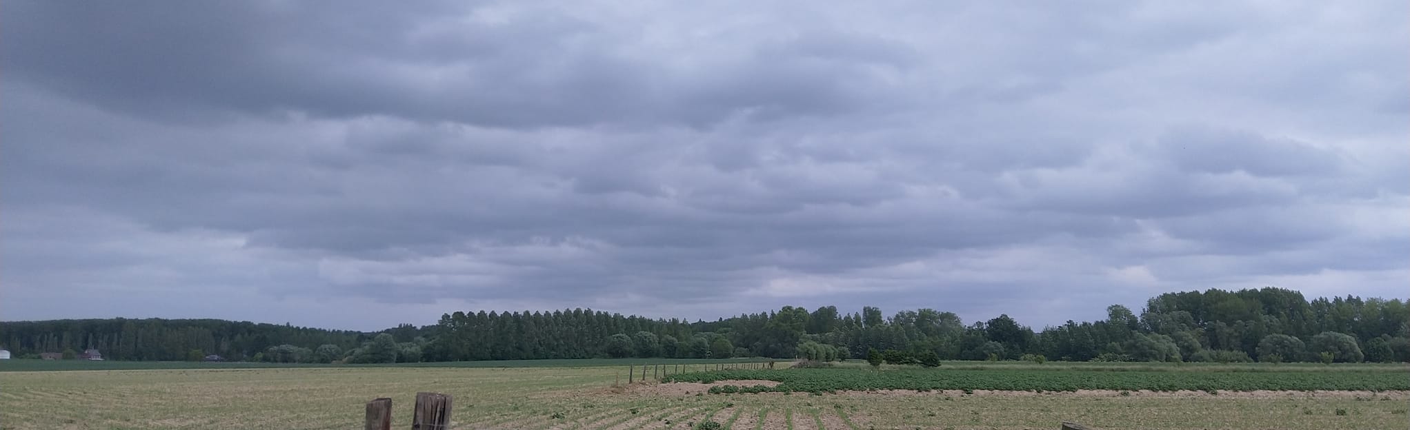 AllTrails | Kluisbos - Blue and Green walk: 5 Reviews, Map - East ...