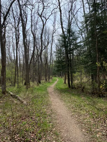 10 Best Trails and Hikes in Pinawa | AllTrails