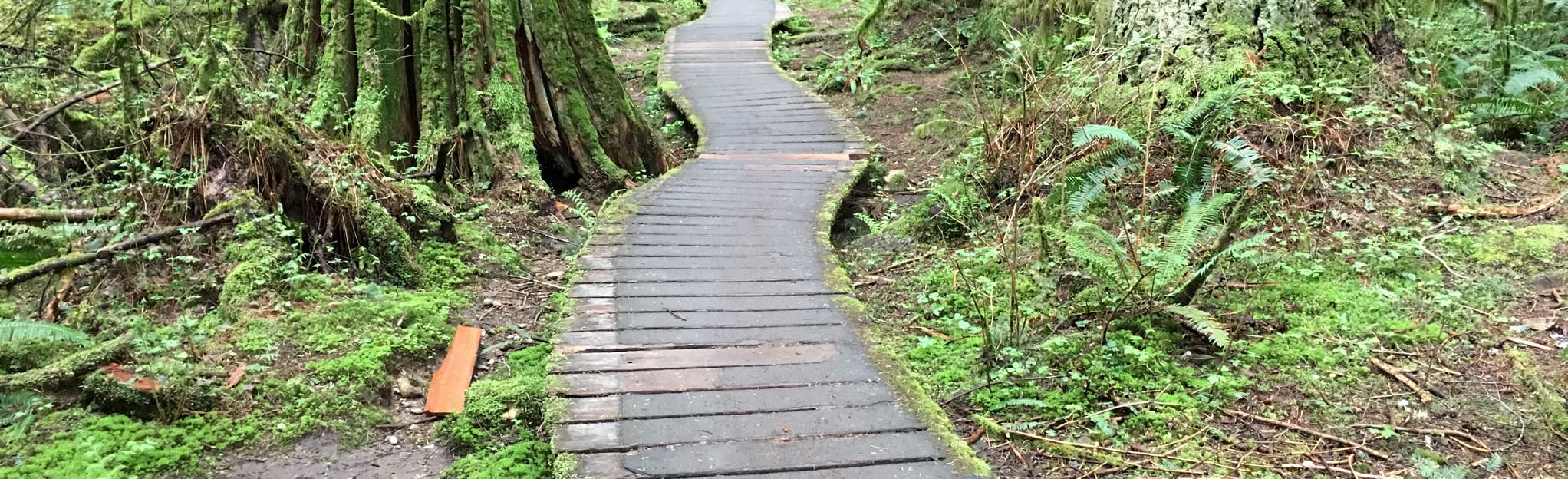 Bridle Trail: 97 Reviews, Map - British Columbia, Canada | AllTrails