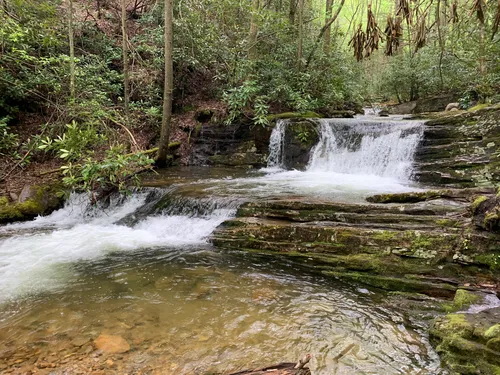 Best Hikes and Trails in Unaka Mountain Wilderness | AllTrails