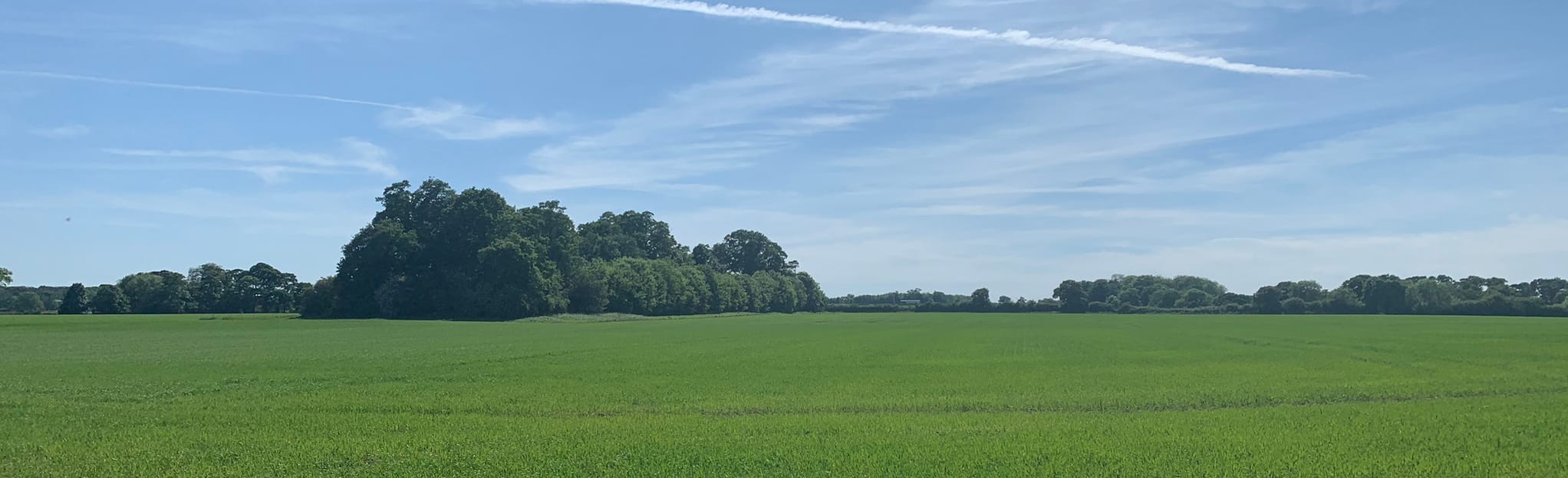 Lockington and Bealy's Lane Circular, East Riding of Yorkshire, England ...