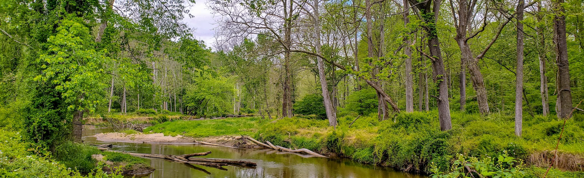 Little Gunpowder Falls Trail from Harford Road, Maryland - 887 Reviews ...