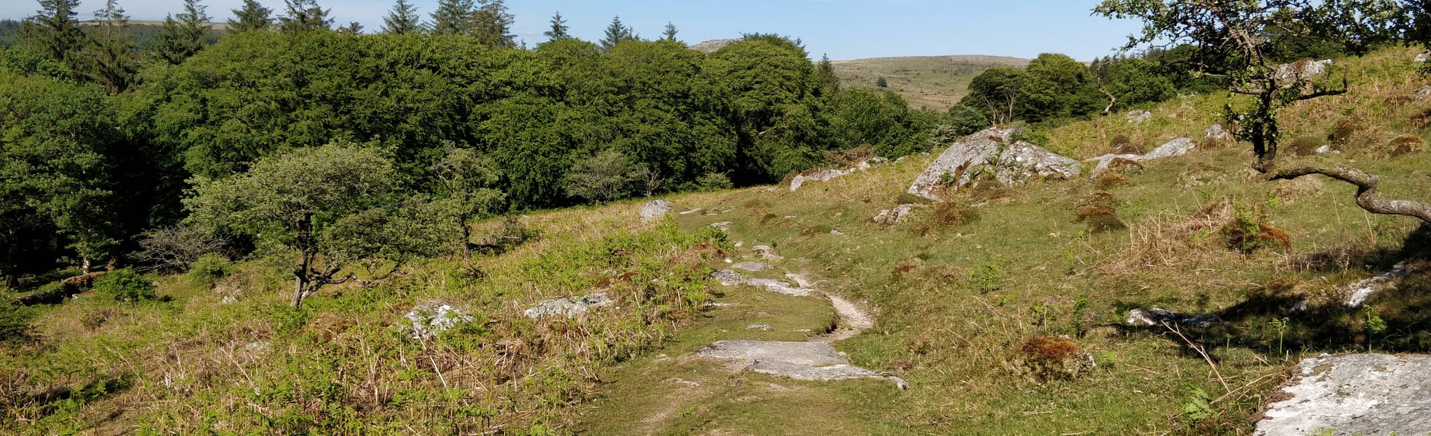 Yelverton, Merrivale and Burrator Reservoir Circular, Devon, England ...