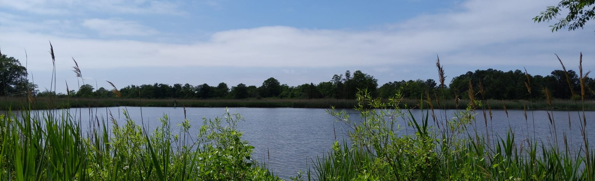 Terrapin Nature Park Loop, Maryland - 703 Reviews, Map | AllTrails