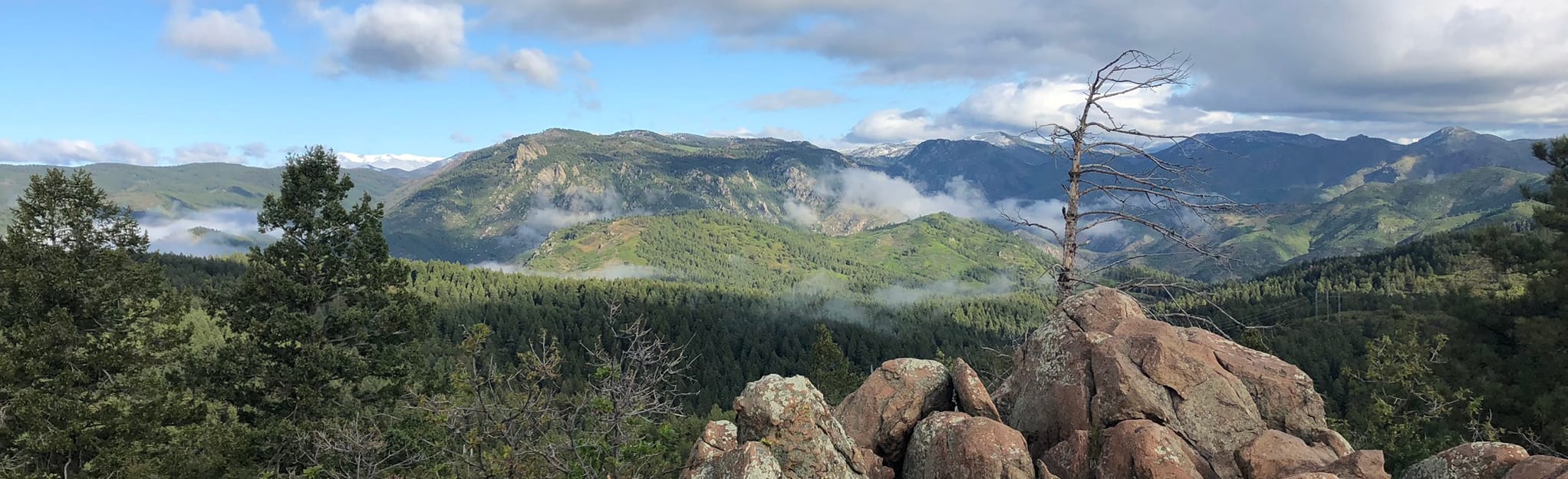 Carpenter Peak Trail, Colorado - 3,242 Reviews, Map | AllTrails