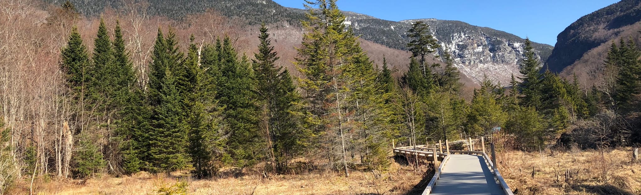 Barnes Camp Loop, Vermont - 336 Reviews, Map | AllTrails