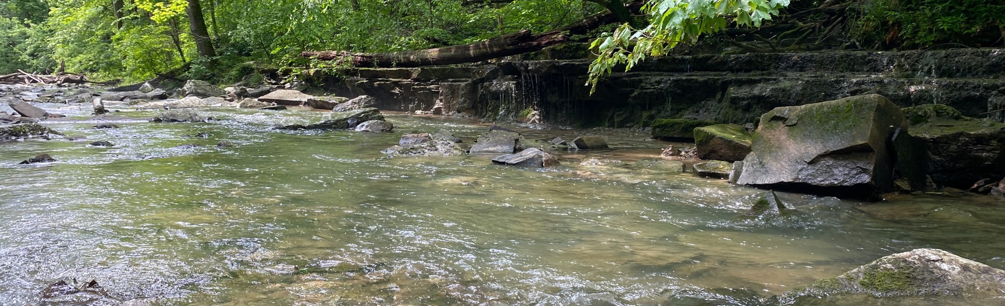 McCormick's Creek Trail 8, Trail 5, and Trail 7 Loop [CLOSED]: 73 ...