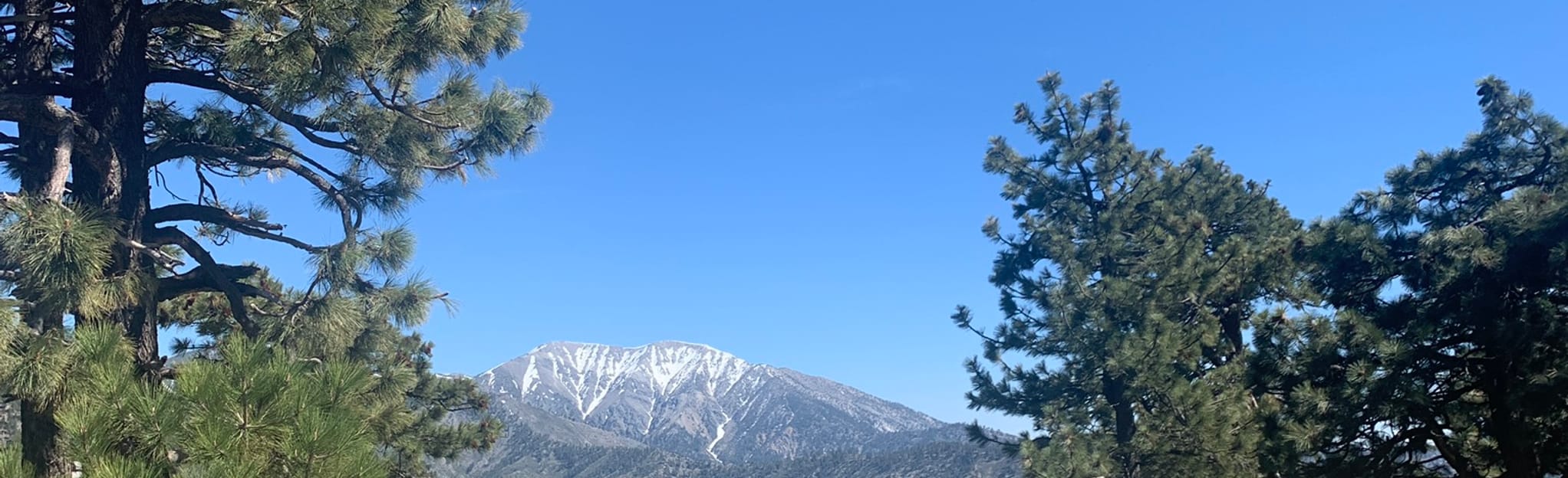 Inspiration Point to Blue Ridge Trail Junction (Blue Ridge Campground ...