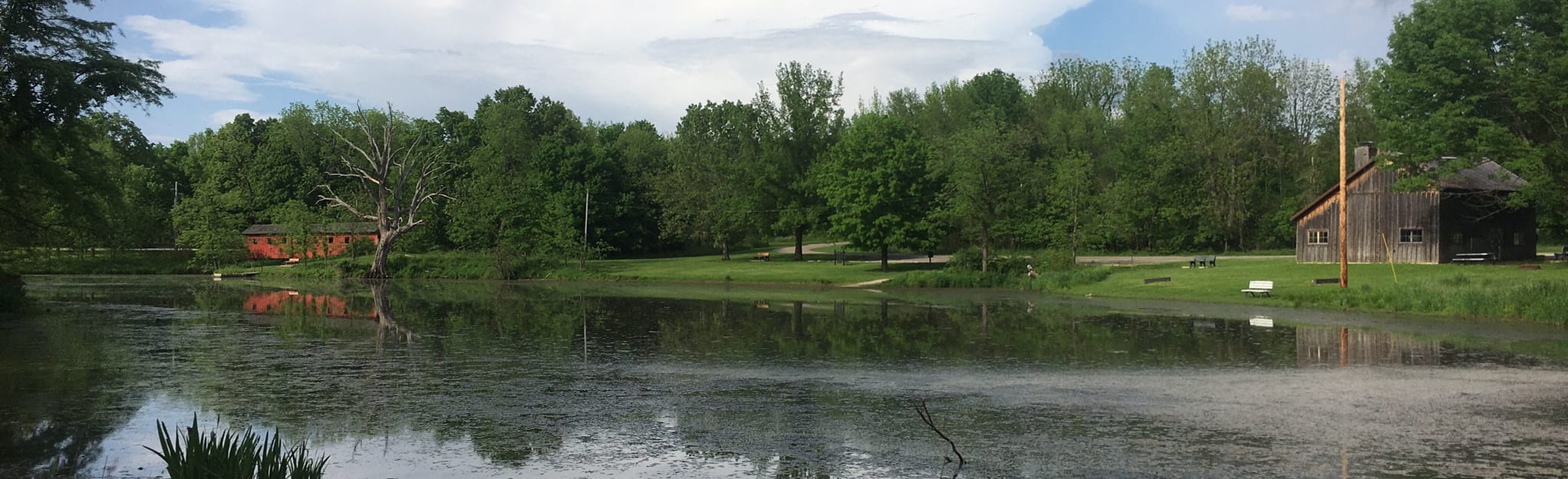 AllTrails | Forest Glen River Ridge Trail: 418 Reviews, Map - Illinois