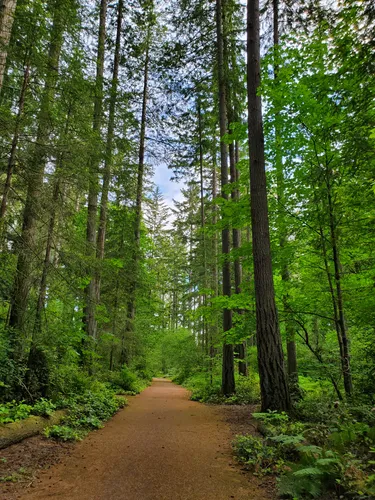 10 Best Trails and Hikes in Gig Harbor | AllTrails