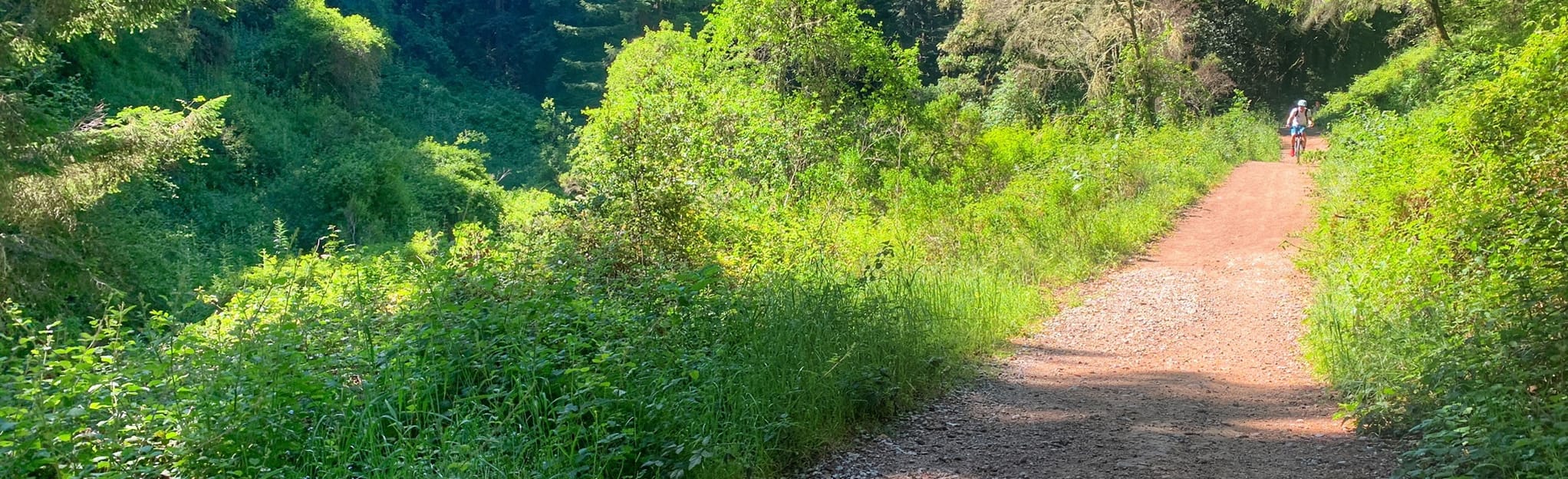 Timberview and Gordon Mill Trail, California - 262 Reviews, Map | AllTrails