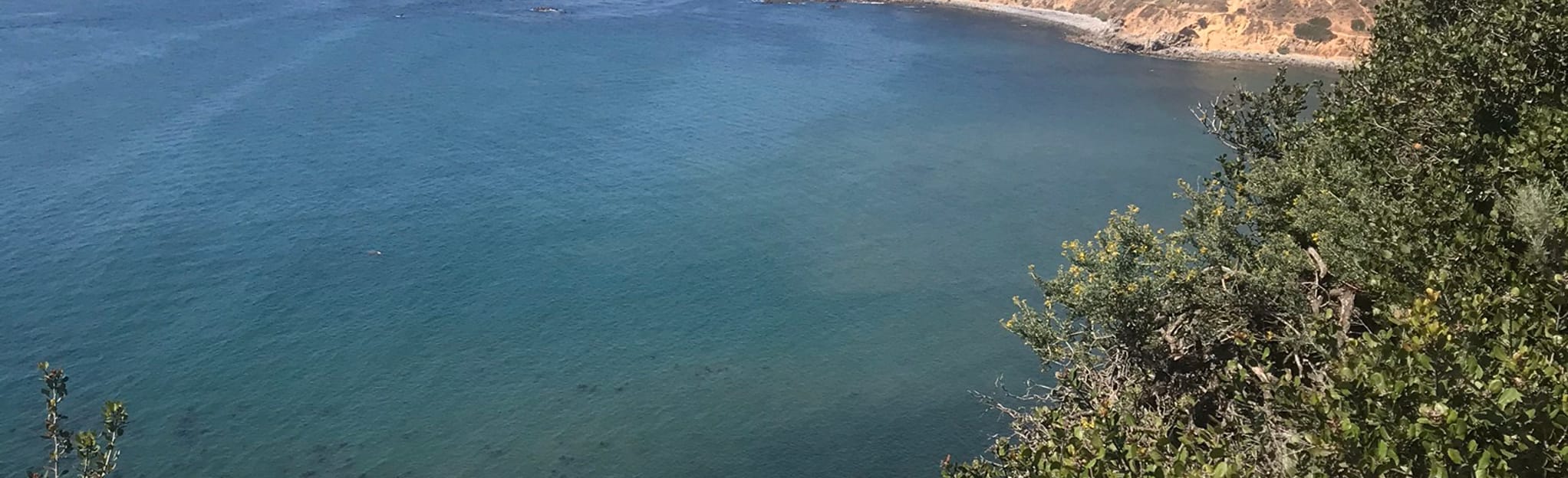 Paseo Del Mar Bluffs: Palos Verdes Estates Shoreline Preserve ...