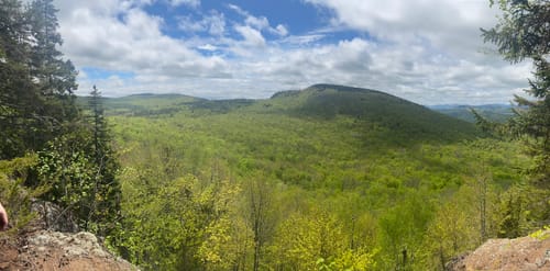 2023 Best Forest Trails in Albany Township | AllTrails