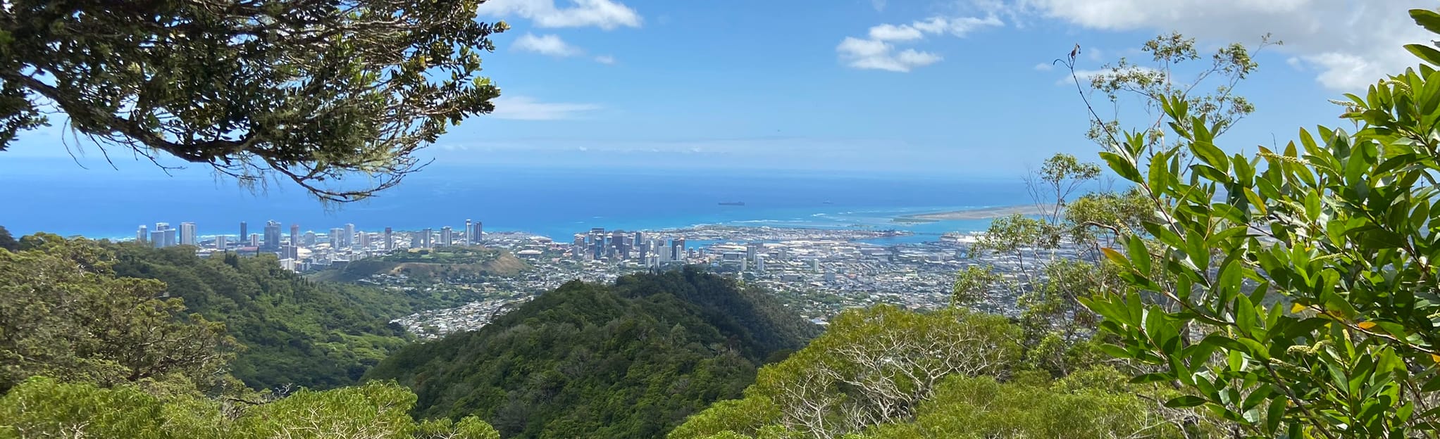Judd Trail Mountain View , Oahu, Hawaii - 311 Reviews, Map | AllTrails