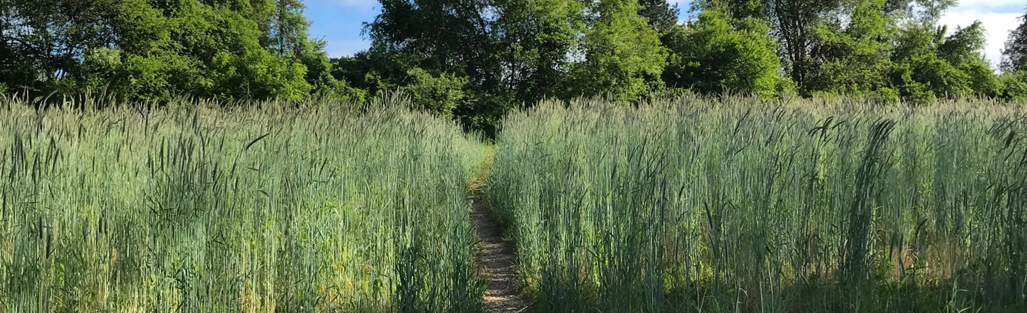 Blue Marsh Spring Creek Trail, Pennsylvania - 187 Reviews, Map | AllTrails