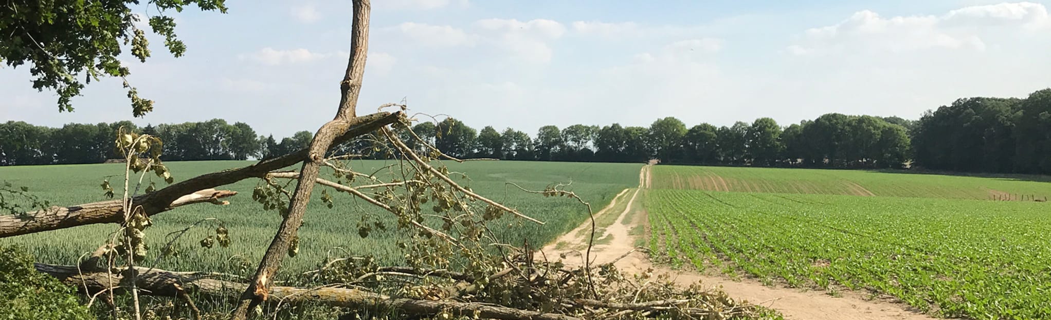 Sint-Genesius-Rode - Bois de Broctiaux - Hallerbos | Map, Guide ...