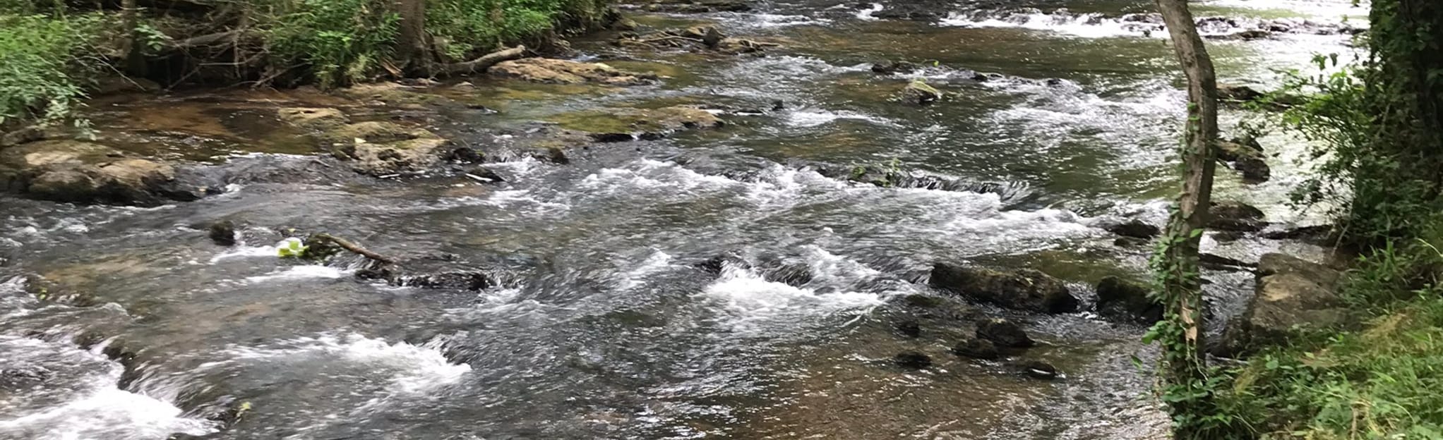 Orange Long Rapids Muscogee Trail, Alabama - 9 Reviews, Map | AllTrails