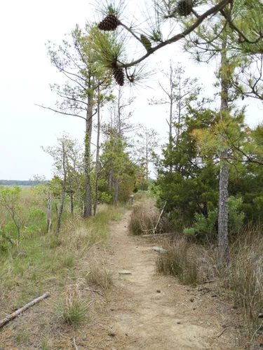 Best Hikes and Trails in Point Lookout State Park | AllTrails